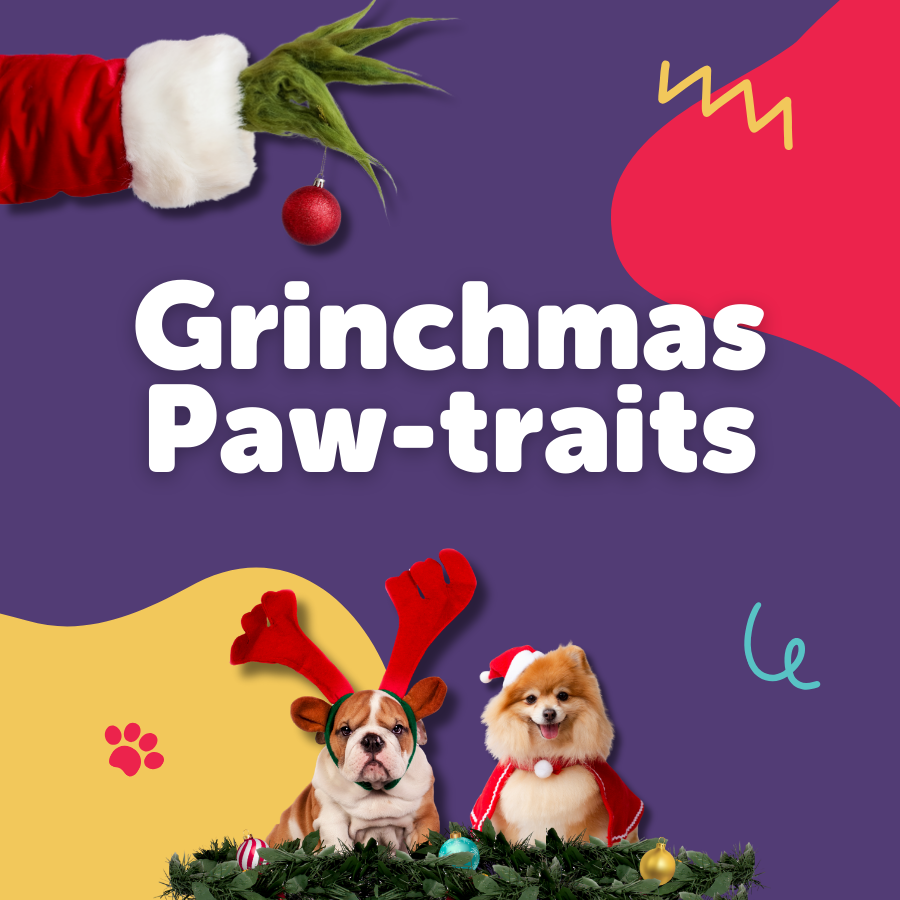 Photos With The Grinch 2025 - Heidis Hope for Homeless Animals