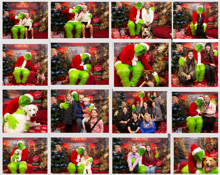 Photos With The Grinch 2025 - Heidis Hope for Homeless Animals